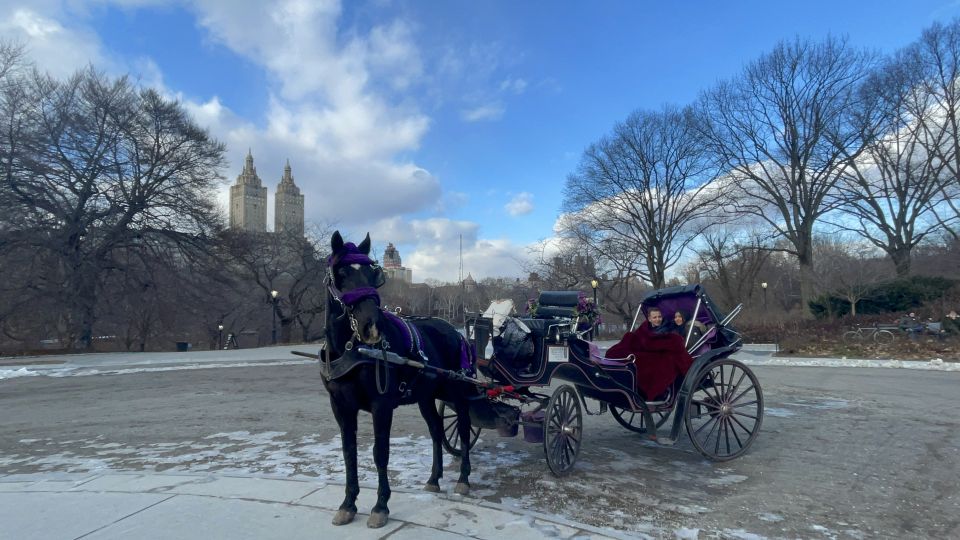 Official Exclusive VIP Horse Carriage Ride in Central Park - Why Choose the Official Exclusive VIP Horse Carriage Ride?