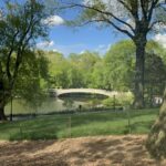 Official Exclusive VIP Horse Carriage Ride in Central Park - What to Expect from Your Central Park Carriage Ride