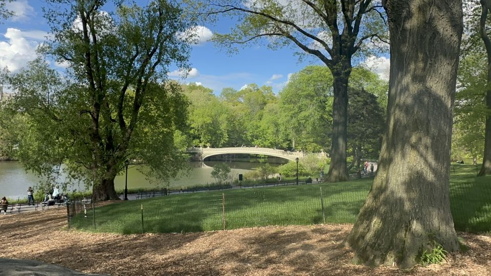 Official Exclusive VIP Horse Carriage Ride in Central Park - What to Expect from Your Central Park Carriage Ride