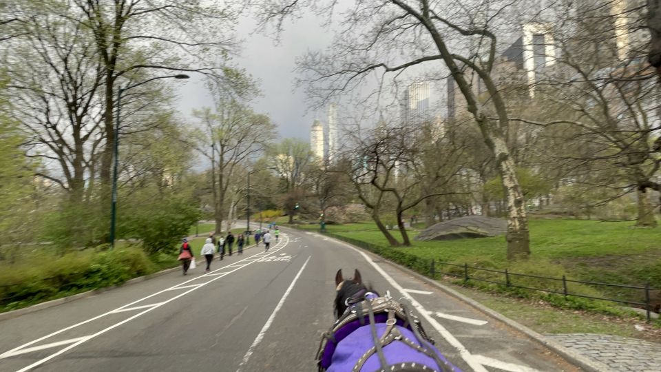 Official Exclusive VIP Horse Carriage Ride in Central Park - Authentic Insights from Reviews