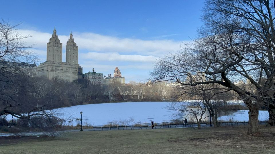 Official Exclusive VIP Horse Carriage Ride in Central Park - Who Will Love This Tour?