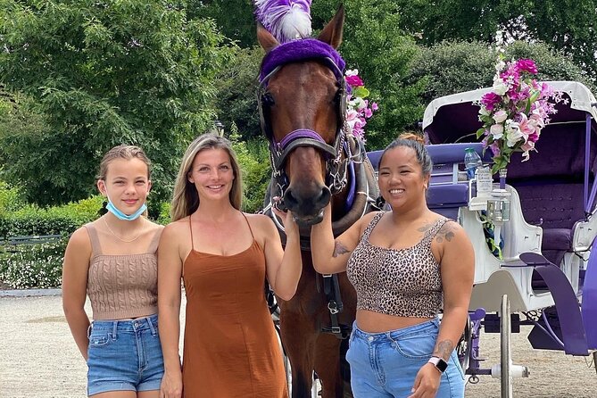 OFFICIAL NYC Central Park Horse Carriage Rides - Key Points