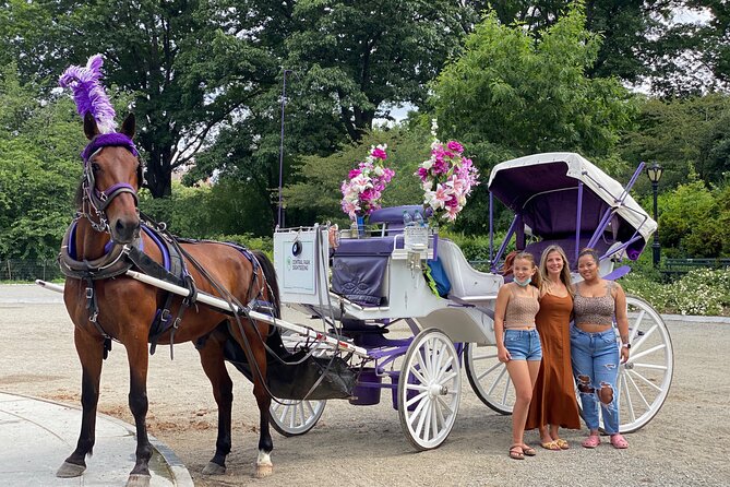 OFFICIAL NYC Central Park Horse Carriage Rides - Why choose the Central Park Horse Carriage Ride?