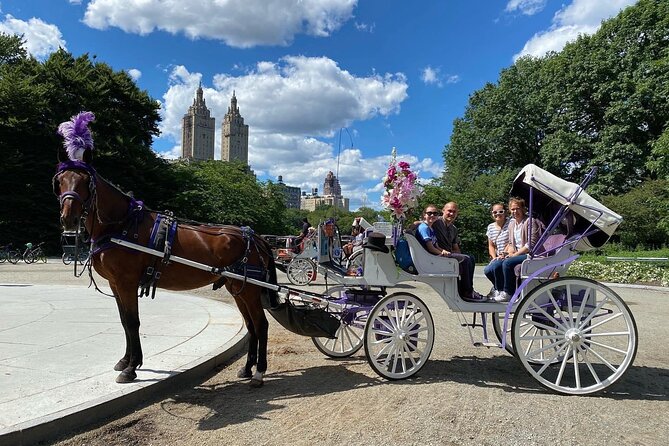 OFFICIAL NYC Central Park Horse Carriage Rides - What to Expect from the Tour