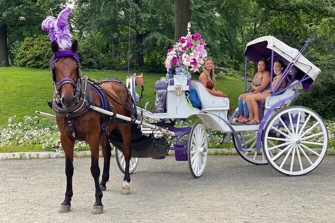 OFFICIAL NYC Central Park Horse Carriage Rides - Practical Tips for Your Ride