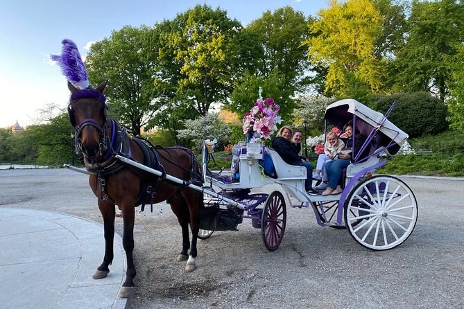 OFFICIAL NYC Central Park Horse Carriage Rides - The Sum Up