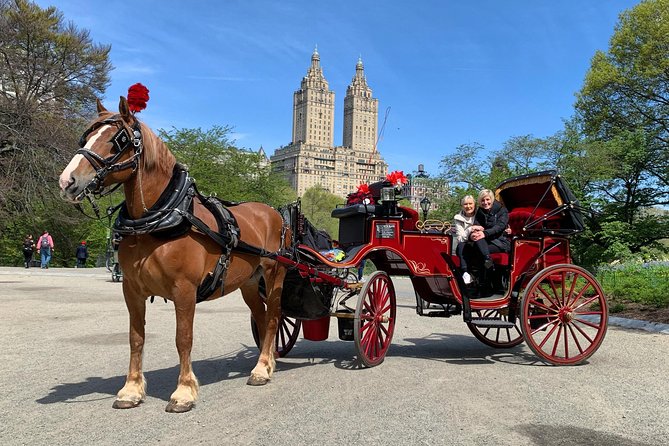 Official NYC Horse Carriage Rides in Central Park since 1979 - Final Thoughts