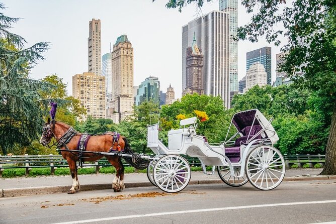 Official Private New York City Central Park Horse Carriage Ride Since 1965 - An In-Depth Look at the Central Park Carriage Experience