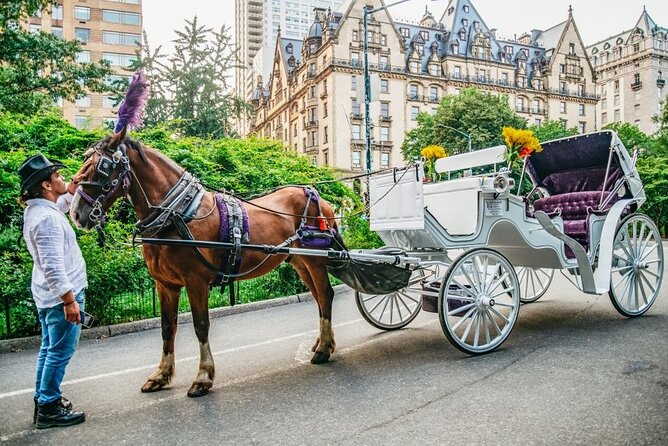 Official Private New York City Central Park Horse Carriage Ride Since 1965 - Final Thoughts: Who Is This Tour Best For?