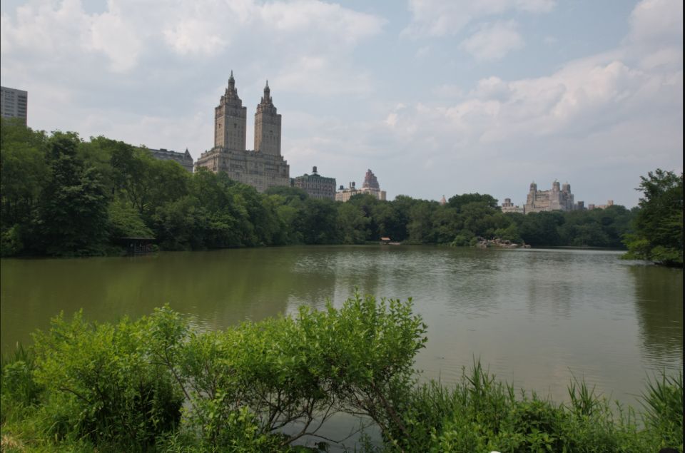 Official VIP Whole Central Park Horse Carriage Tour - Key Points