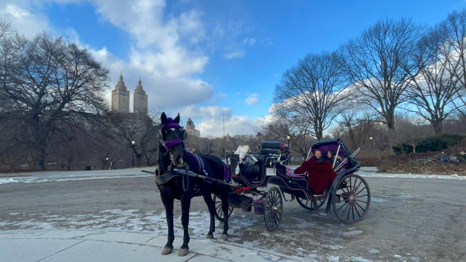 Official VIP Whole Central Park Horse Carriage Tour - An In-Depth Look at the Central Park Carriage Tour