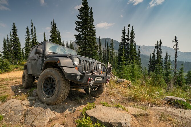 Offroad Jeep Tour in Colorado - A Thorough Look at the Offroad Jeep Tour Experience