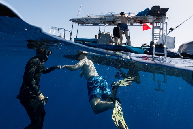 Offshore Safari Adventure in Kona with Underwater Videos - Who Will Appreciate This Tour?