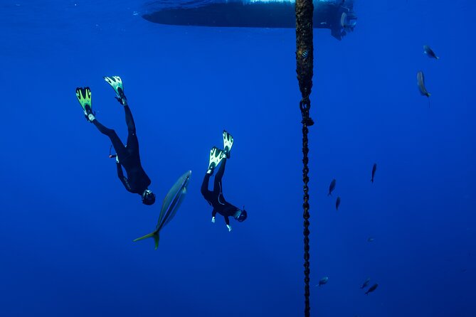 Offshore Safari Adventure in Kona with Underwater Videos - Frequently Asked Questions