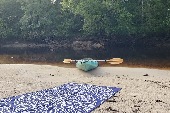 Okefenokee Swamp: Guided Kayak Tour with a Local Naturalist - The Itinerary: What to Expect on This Guided Kayak Tour