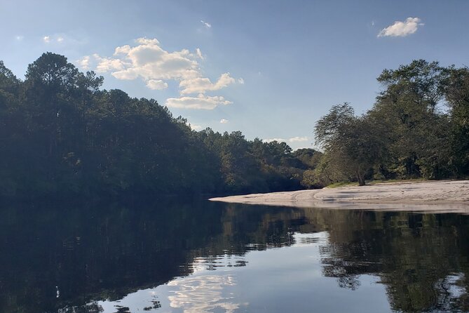 Okefenokee Swamp: Guided Kayak Tour with a Local Naturalist - Practical Details and What You Should Know