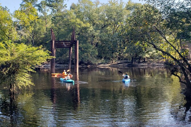 Okefenokee Swamp: Guided Kayak Tour with a Local Naturalist - Why We Think This Tour Is a Great Choice