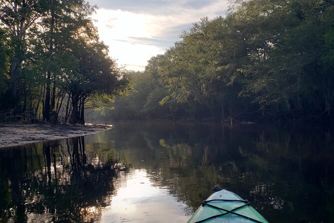 Okefenokee Swamp: Guided Kayak Tour with a Local Naturalist - Final Thoughts