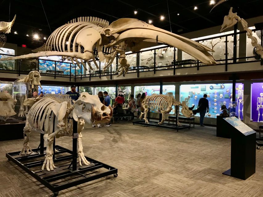 Oklahoma City: SKELETONS: Museum of Osteology Ticket - The Sum Up
