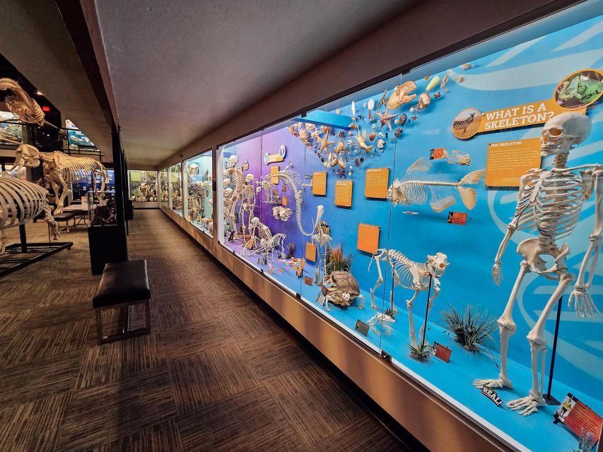 Oklahoma City: SKELETONS: Museum of Osteology Ticket - Frequently Asked Questions