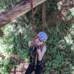 Old-Growth Tree Climbing at Silver Falls State Park - What Else Is Included?
