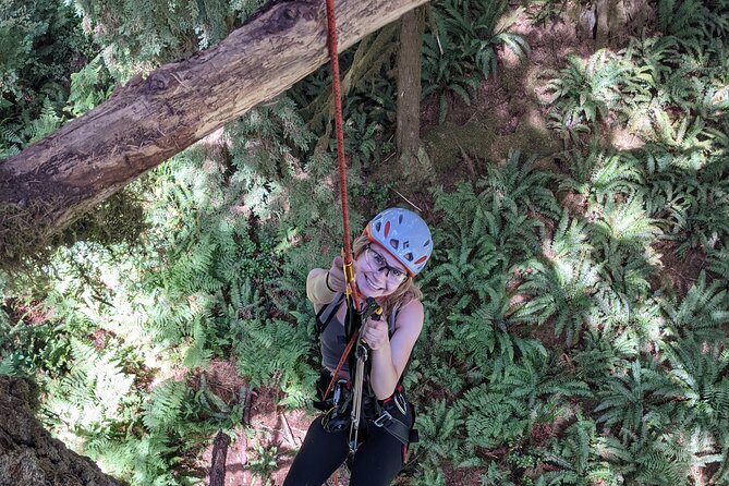 Old-Growth Tree Climbing at Silver Falls State Park - What Else Is Included?