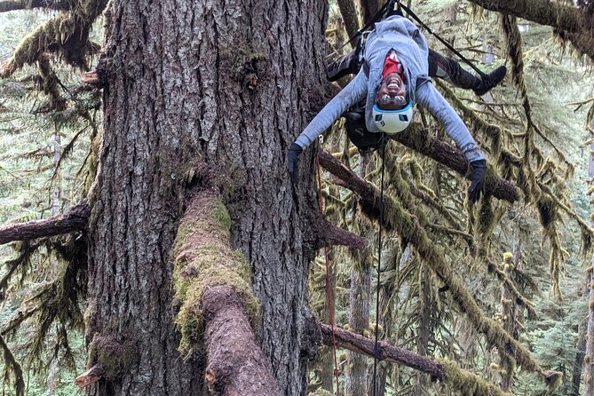 Old-Growth Tree Climbing at Silver Falls State Park - Who Is This Tour Best Suited For?