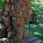 Old Louisvilles Famous Ghosts Smartphone Guided Walking Tour - Detailed Breakdown of the Itinerary