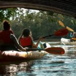 Oleta River State Park: Eco Kayak or Paddleboard Tour - Paddling Options and Equipment