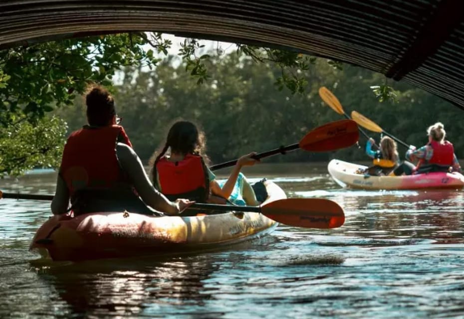 Oleta River State Park: Eco Kayak or Paddleboard Tour - Paddling Options and Equipment