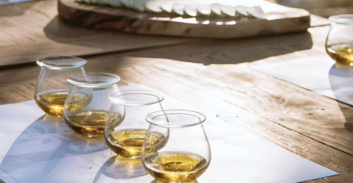 Olive Oil, Cheese, and Wine Tasting with Local Expert - Why This Experience Stands Out