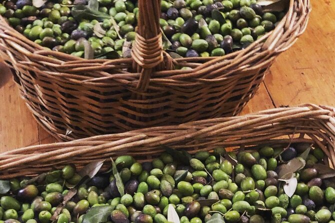 Olive Oil, Cheese, and Wine Tasting with Local Expert - Olive Oil Tasting