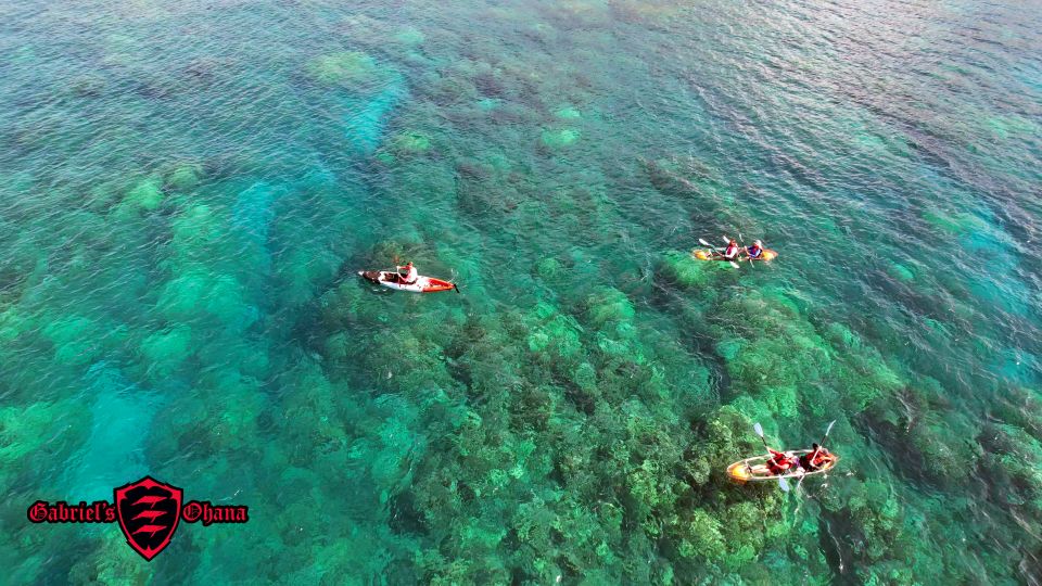 Olowalu: Guided Clear Kayak Tour - Unlimited - The Sum Up