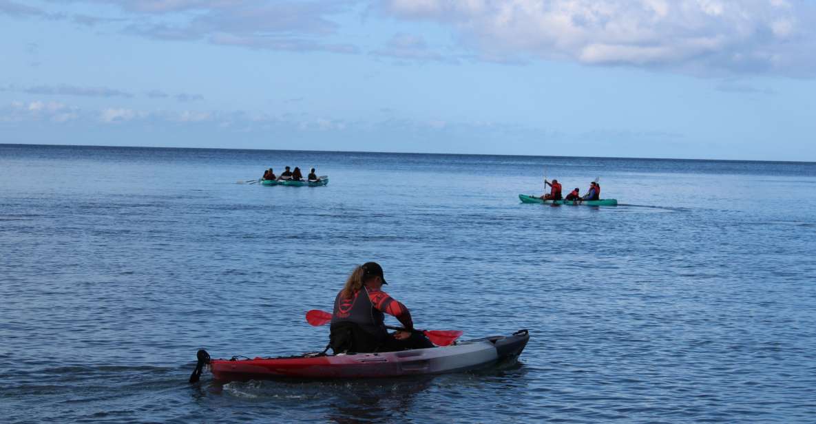 Olowalu: Guided Kayak and Snorkeling Tour - Unlimited - An In-Depth Look at the Tour Experience