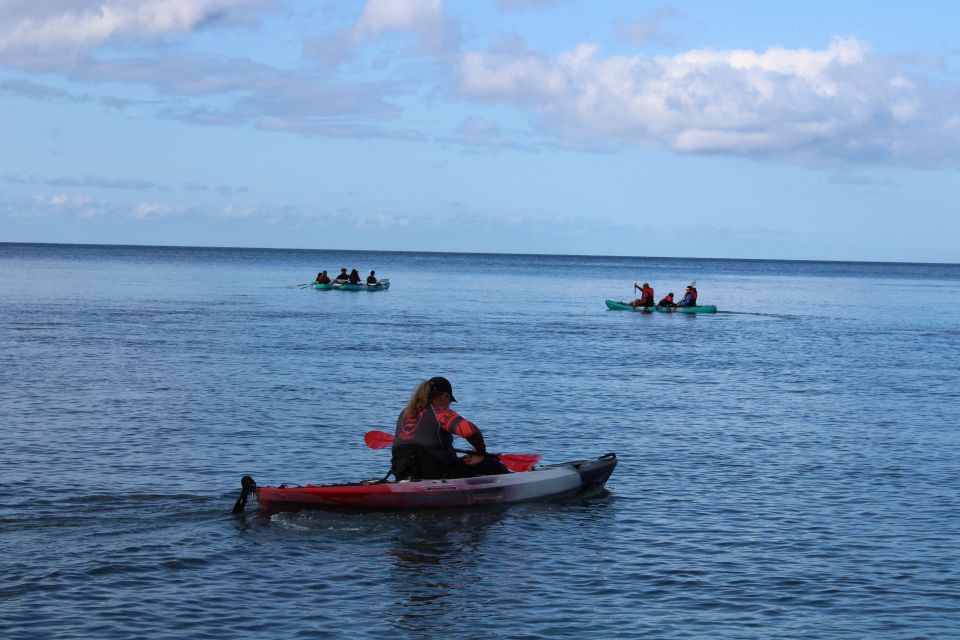 Olowalu: Guided Kayak and Snorkeling Tour - Unlimited - Who Should Consider This Tour?  
