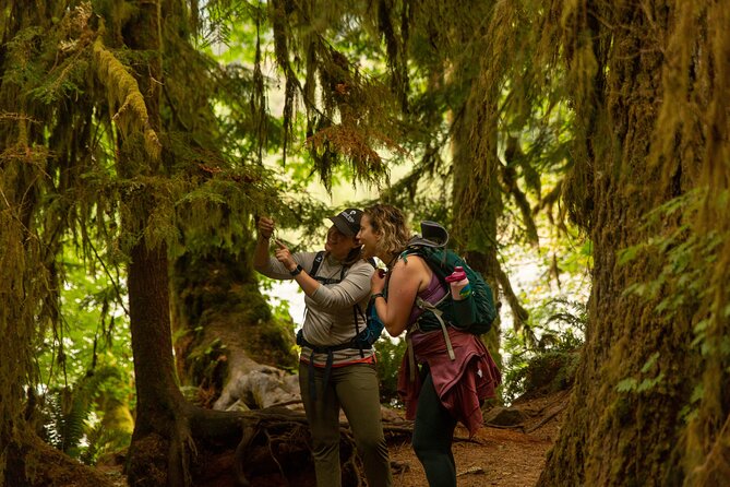 Olympic Full Day Private Tour and Hike - Practical Details and What You Can Expect