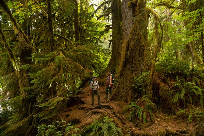 Olympic Full Day Private Tour and Hike - The Sum Up