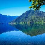 Olympic National Park Day Tour from Seattle - The Experience of a Guide: Kevin and Others