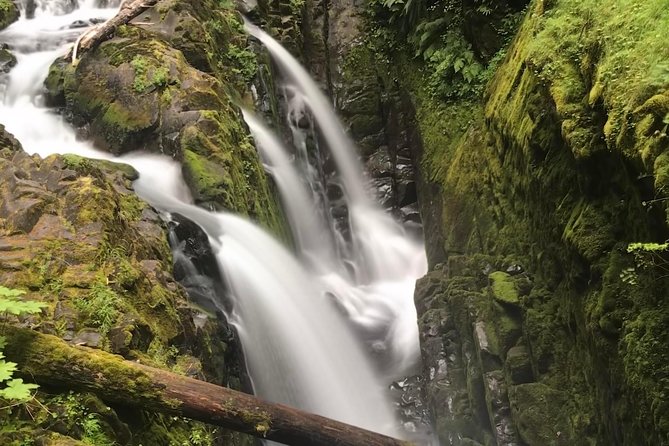 Olympic National Park Day Tour from Seattle - FAQ about the Olympic National Park Day Tour