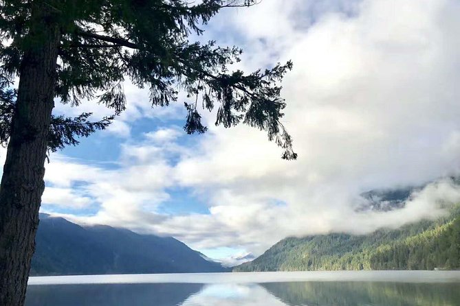 Olympic National Park Full-Day Tour W/ Scenic State Ferries - Final Thoughts