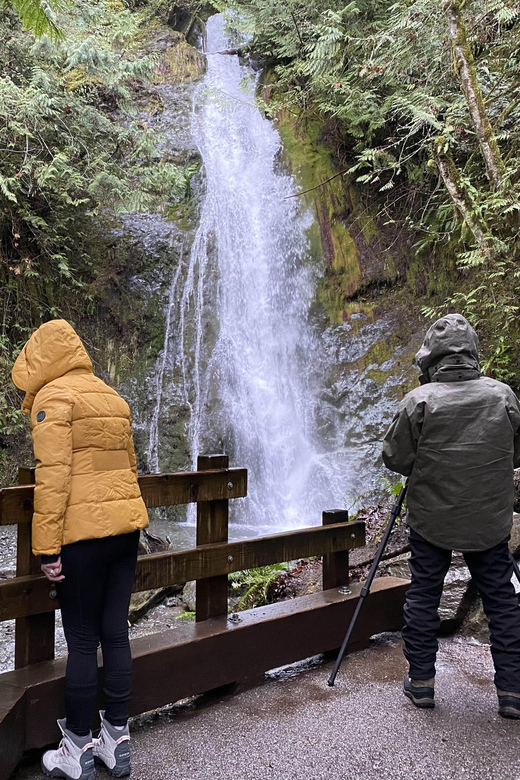 Olympic National Park: Half-Day Tour - An Overview of the Experience