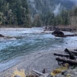 Olympic National Park: Half-Day Tour - What To Expect