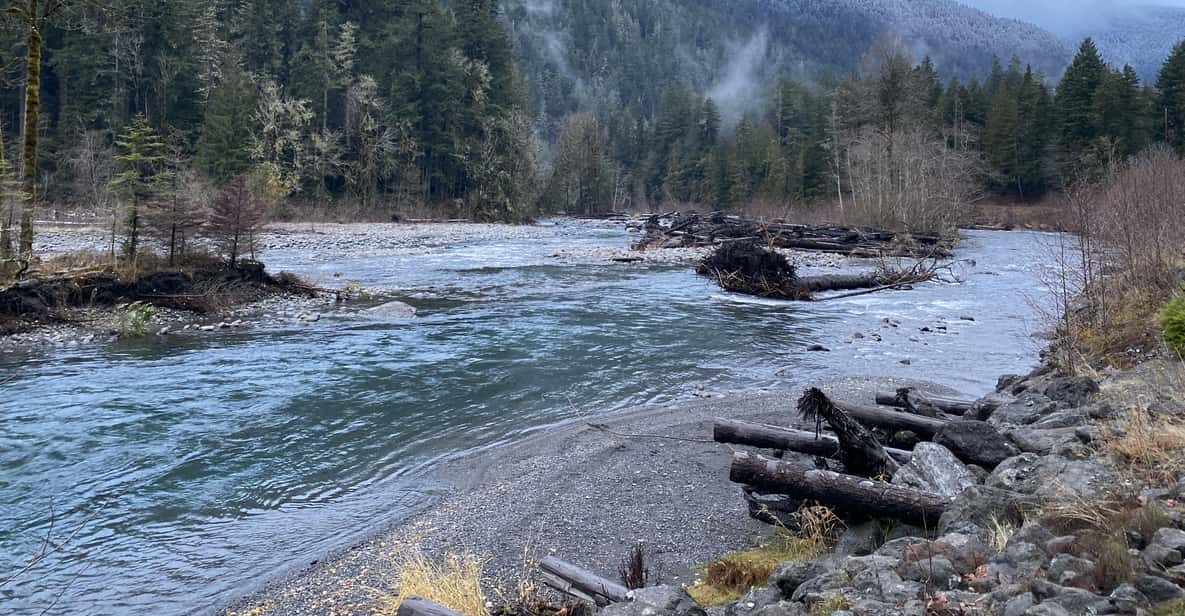 Olympic National Park: Half-Day Tour - What To Expect