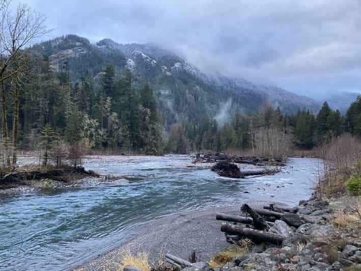 Olympic National Park: Half-Day Tour - Value & Practical Considerations