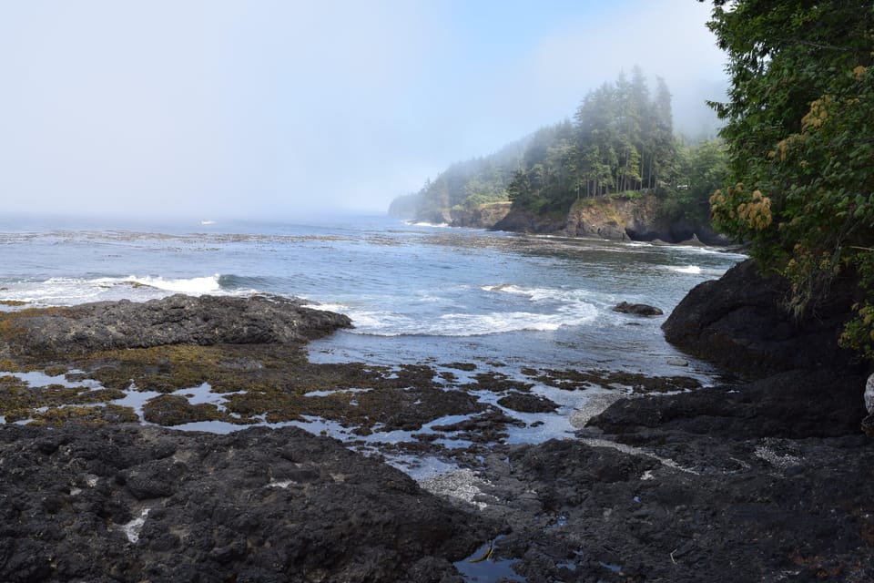 Olympic National Park: Half-Day Tour - Authenticity & Reviews: What Travelers Say