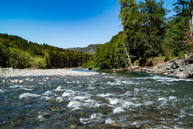 Olympic National Park Self-Guided Driving Audio Tour - Who Is This Tour Best For?