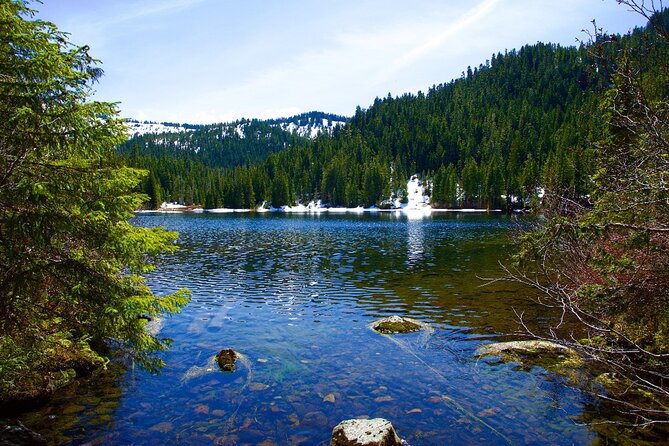 Olympic National Park Self-Guided Driving Audio Tour - The Sum Up