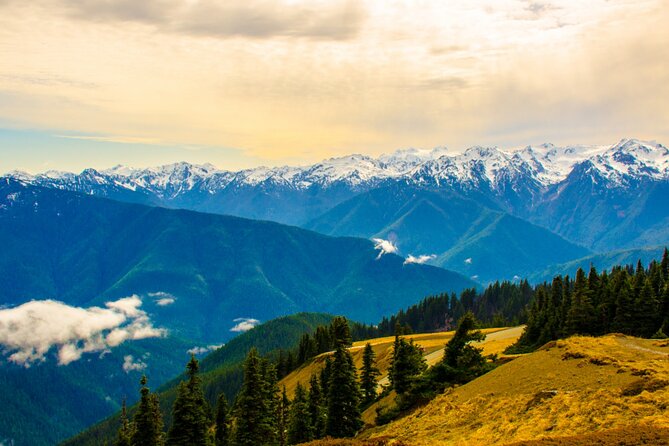 Olympic National Park Self-Guided Driving Audio Tour - FAQ