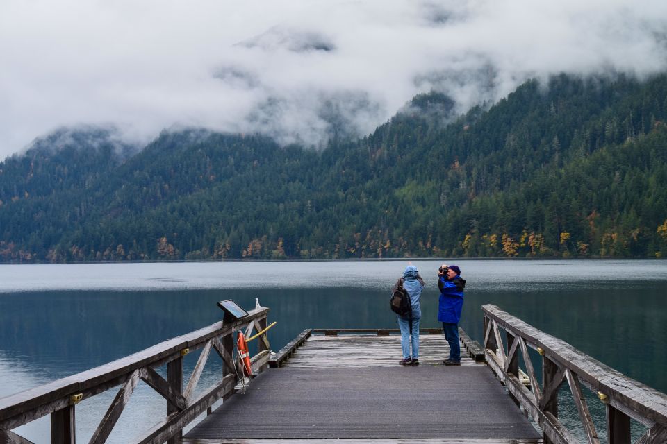 Olympic National Park: Sol Duc and Hurricane Ridge Tour - Exploring the Olympic National Park: Sol Duc and Hurricane Ridge Tour