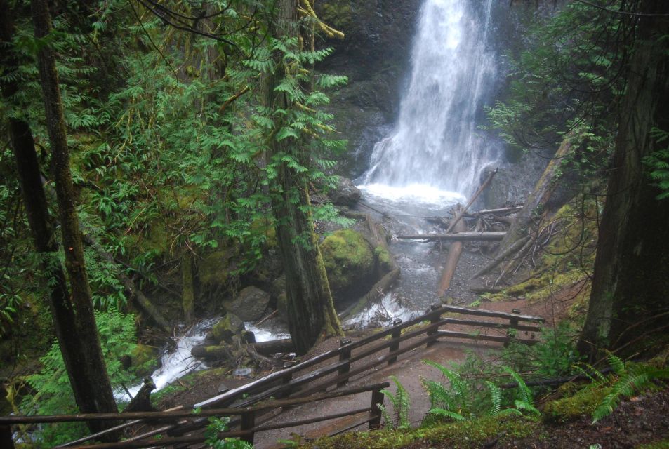 Olympic National Park: Sol Duc and Hurricane Ridge Tour - The Itinerary in Detail